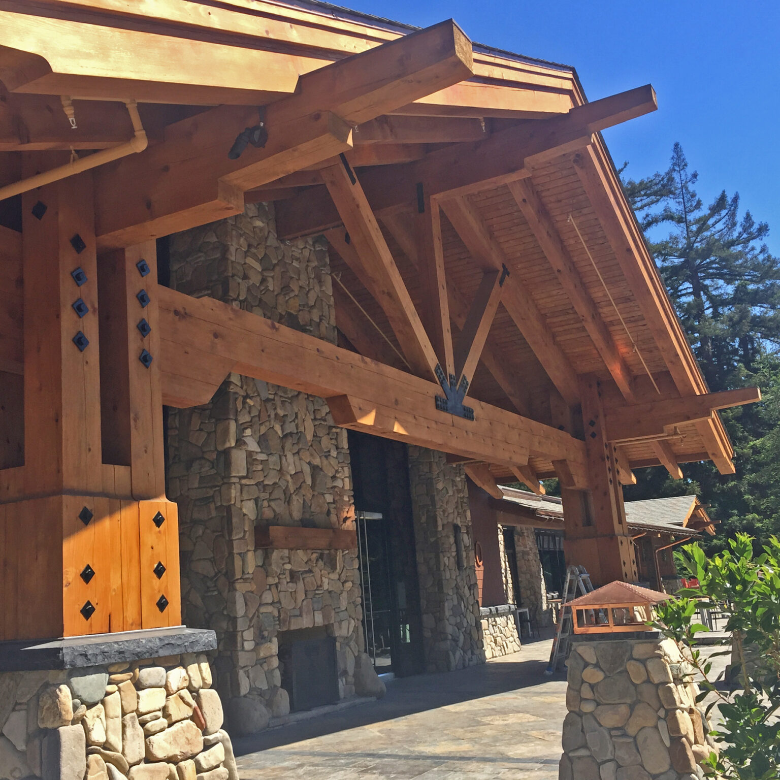 1440 Multiversity Opens - Press Banner | Scotts Valley, CA