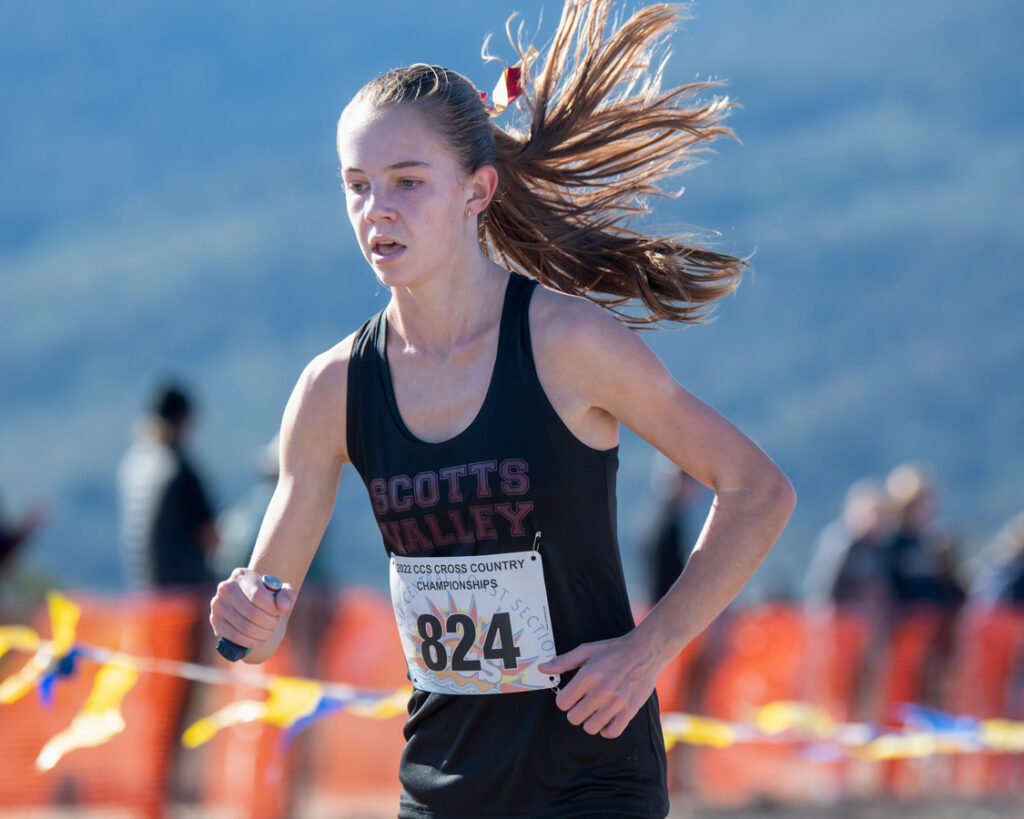 Twice as nice: Boothby, Falcons win back-to-back D-IV titles | CCS ...